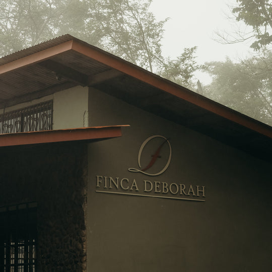 Rozali Coffee – Webshop | Rozali Coffee